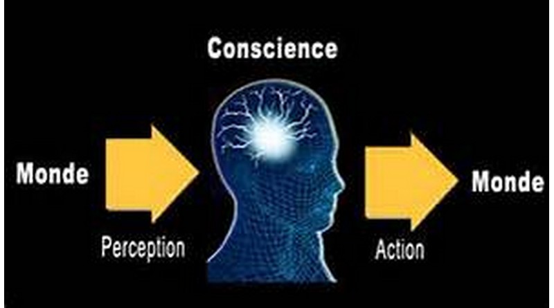 Qu’est-ce que la conscience ? – Echos de Meulan